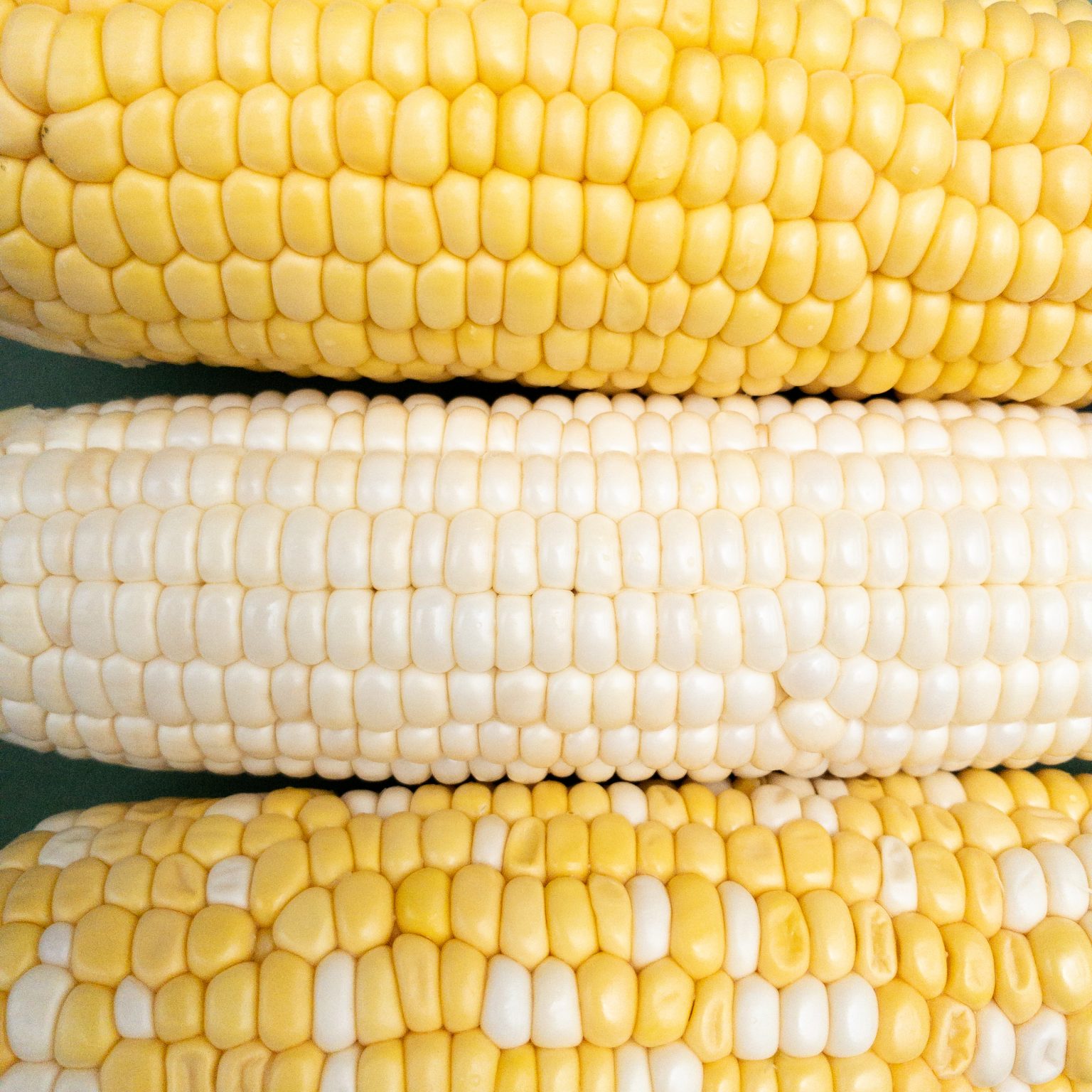 The Perfect Oven-Roasted Corn On The Cob Recipe - This Gal Cooks